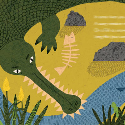 Amy-Clare Barden Illustration