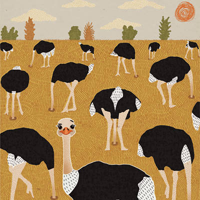 Amy-Clare Barden Illustration