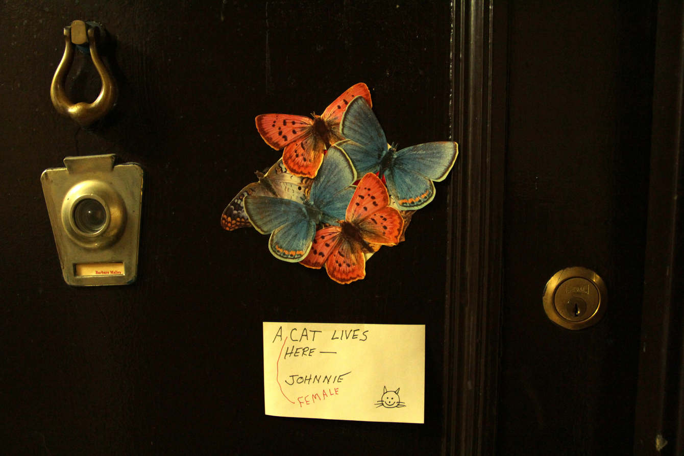 The World of Market Mailers - Aaron Reiss: Journalist and Mapmaker