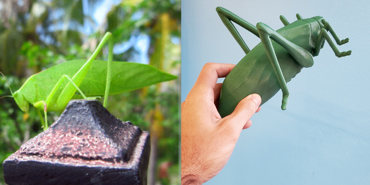 Tactile Museum Project: MADMi | 2019 - Vicente Gascó