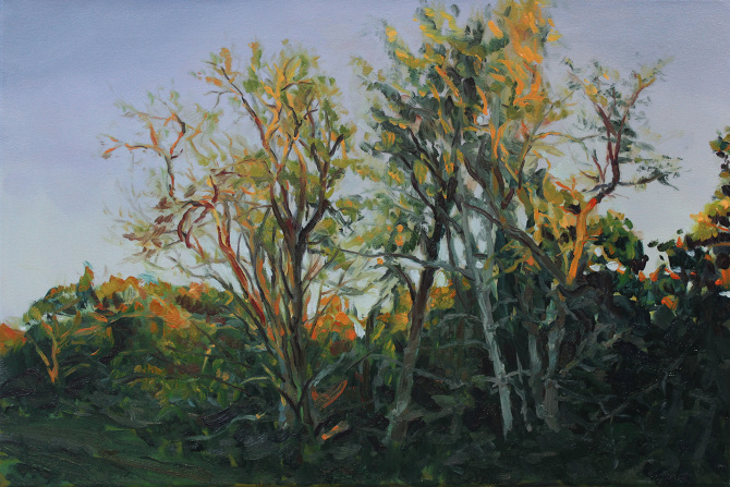Thomas Cameron Artist