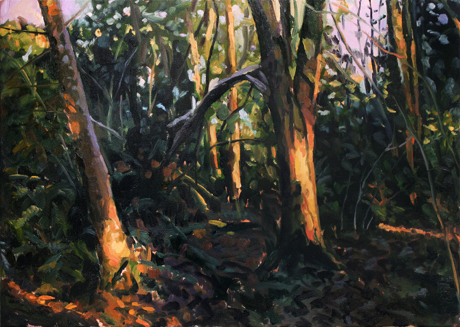Thomas Cameron Artist