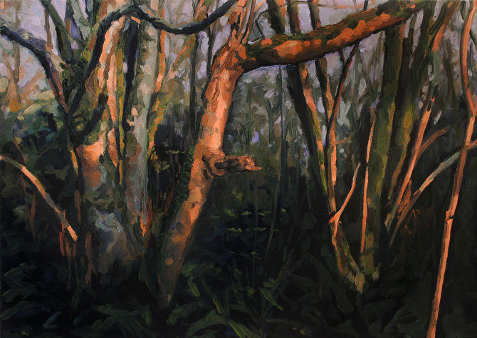 Thomas Cameron Artist