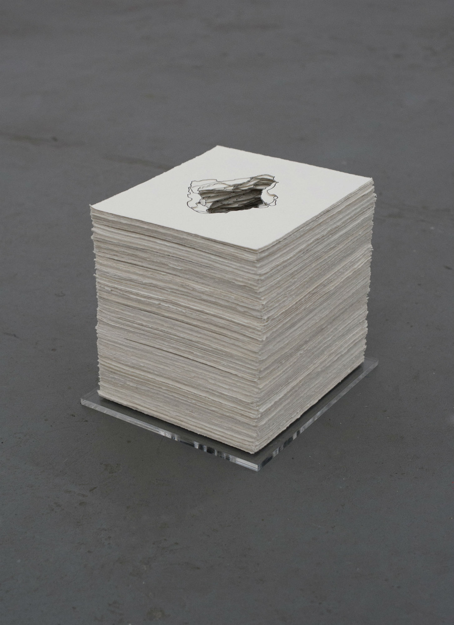 Nasal Cavity - Hannah Toohey