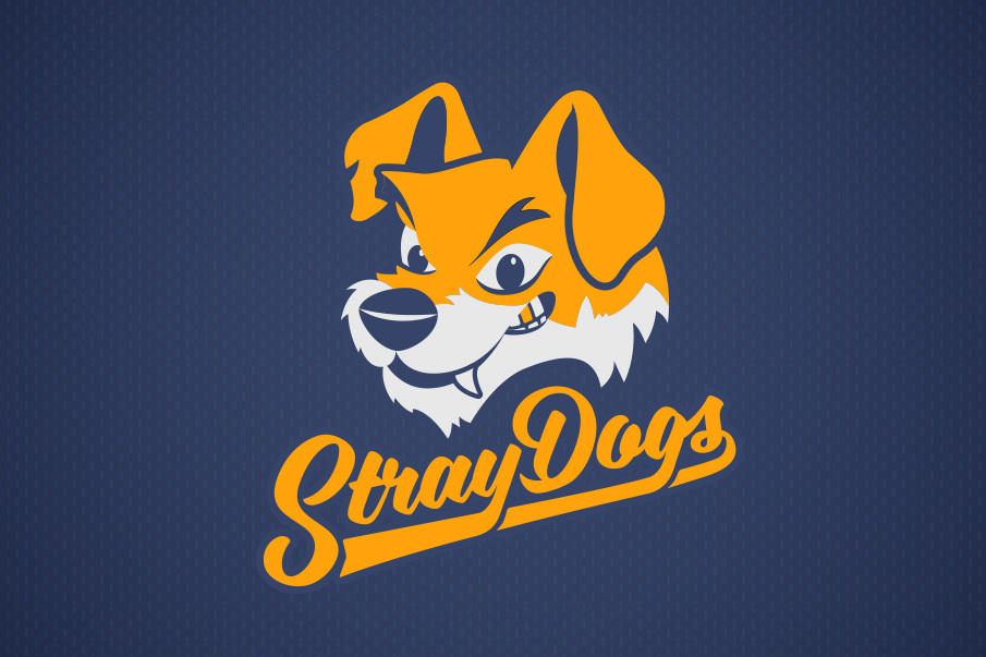 Stray Dogs Softball - Israel Hill