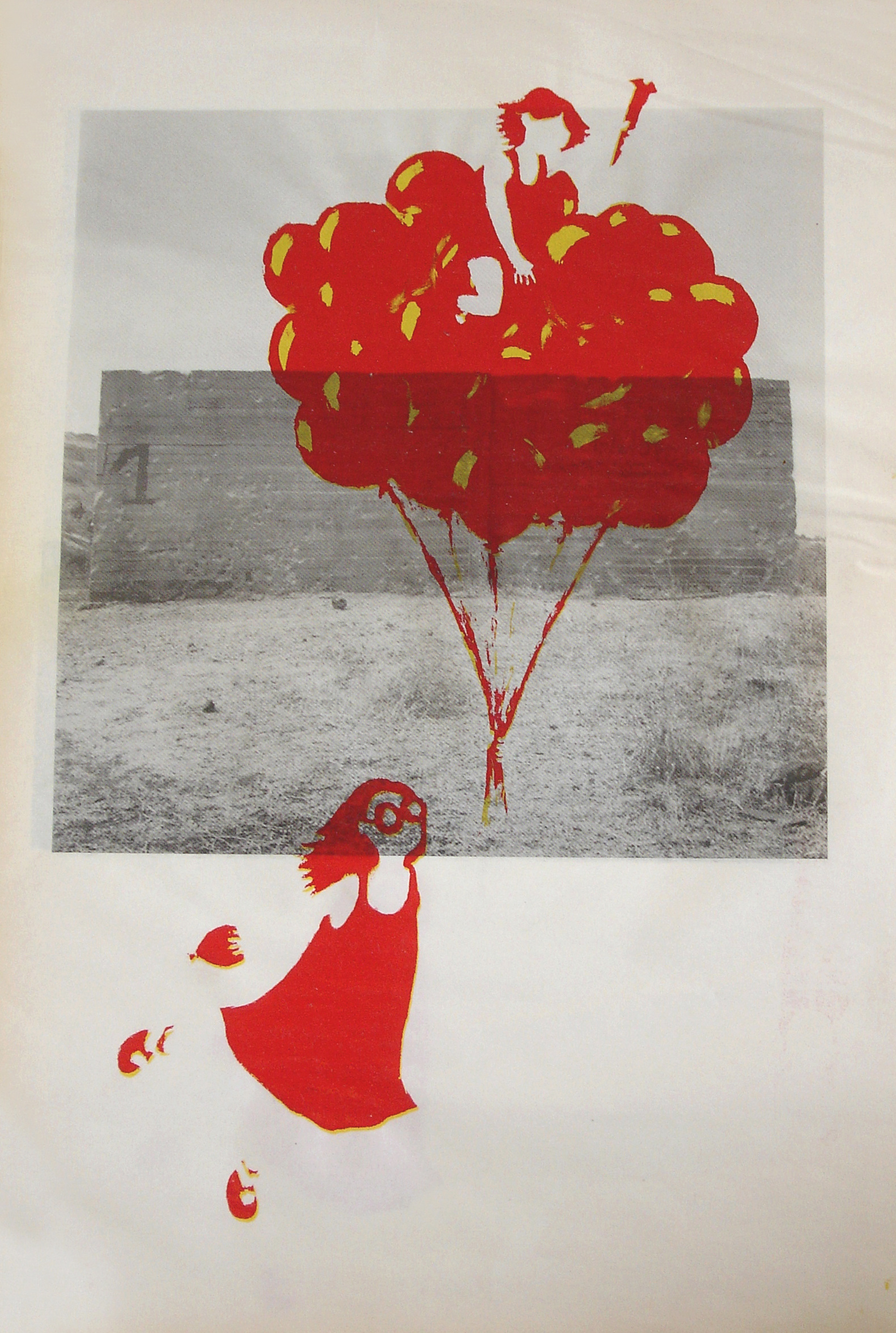 Screen Prints - Danielle Shira