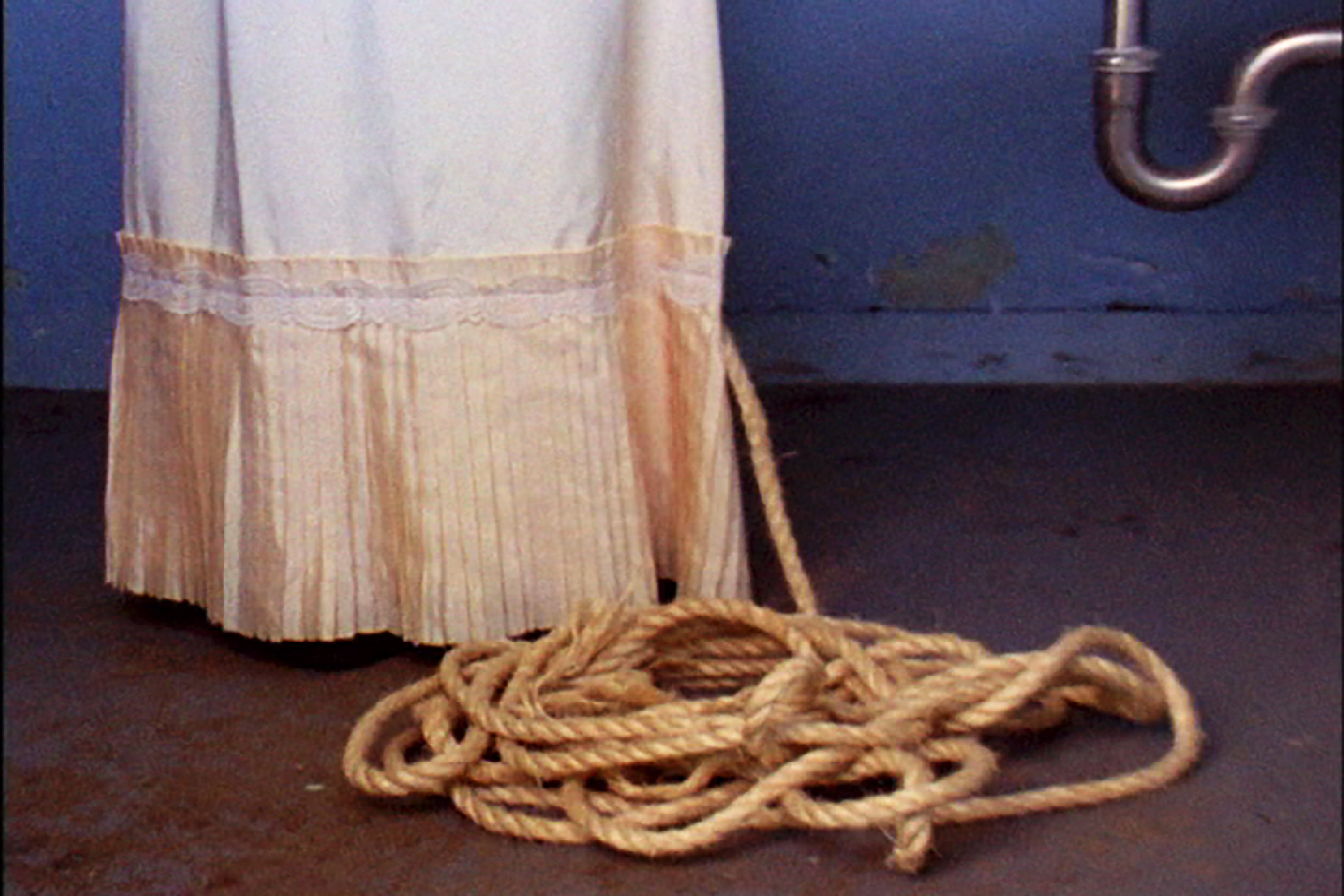 Damsel - sowens experiments