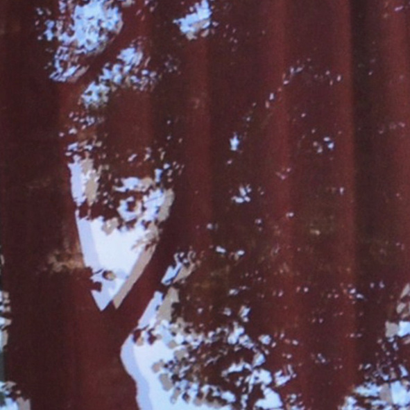 De Boom die Alles Zag - Jesse Ahlers