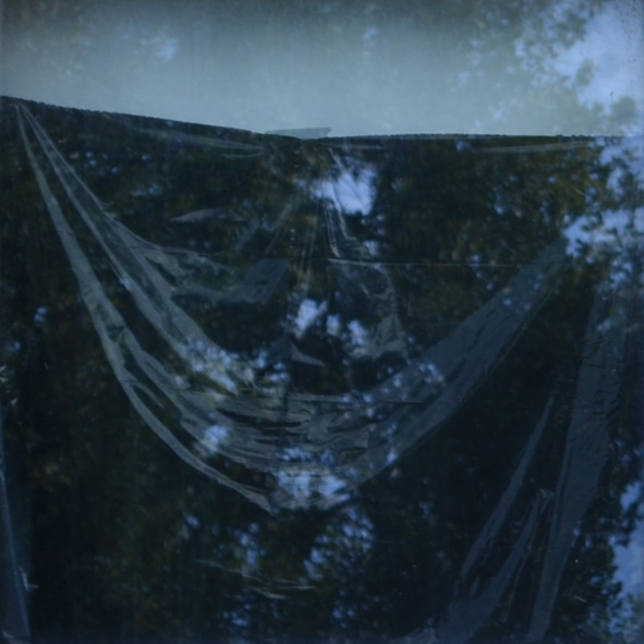 De Boom die Alles Zag - Jesse Ahlers