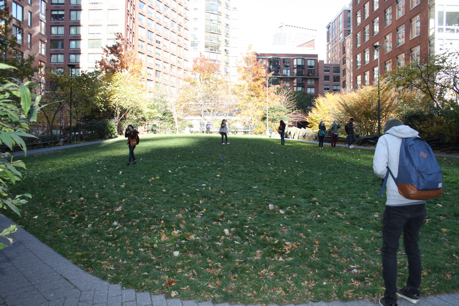TEAR DROP PARK - NYCSTUDIOLANDARCH