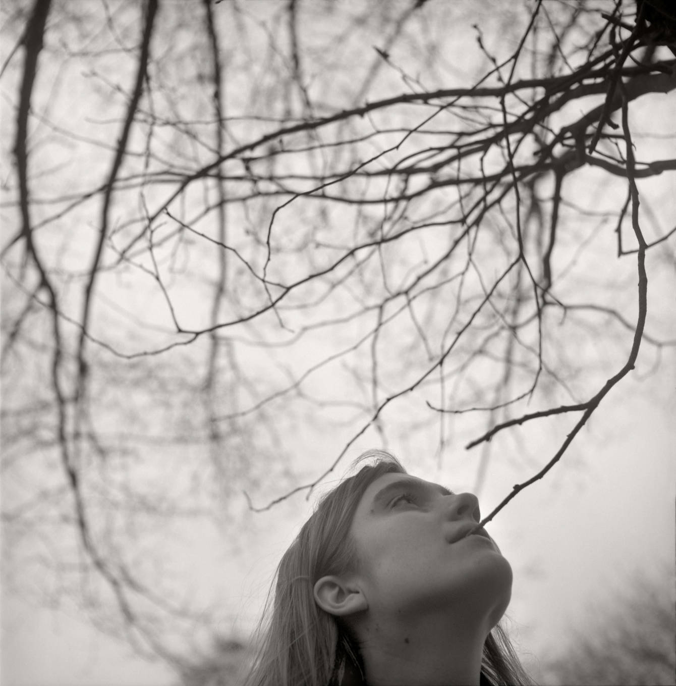 Beginnings and Endings - drsfoto