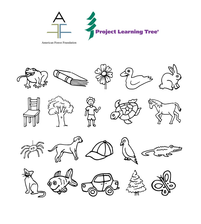 Project Learning Tree - Annie Grotophorst