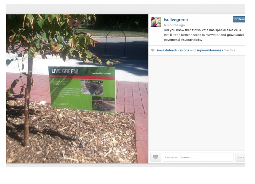 Rachelle Rowe's Digital Portfolio