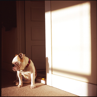 light - alex t thomas