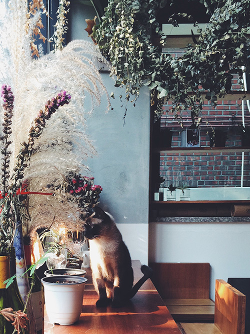 interior - alex t thomas