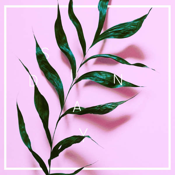 Miscellaneous Hand Lettering + Typography + Collage - Yellow Bird Visuals