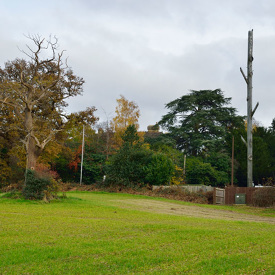 About - Helga Steppan