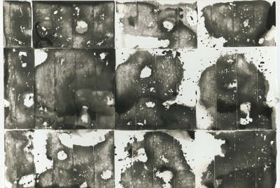 Chemograms - Taylor Covey Williams