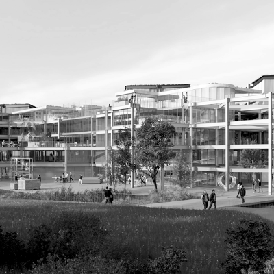 NEW LIVING WOOD - Martial Marquet Studio