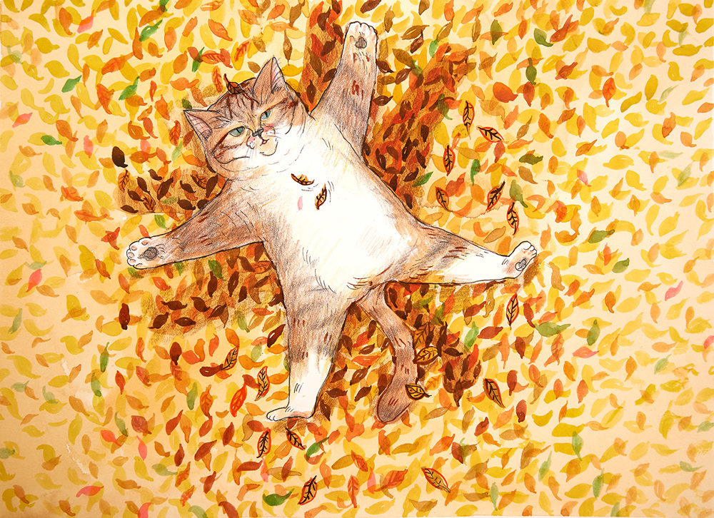 The planet of cats 喵星人的朋友圈 - wang huihui