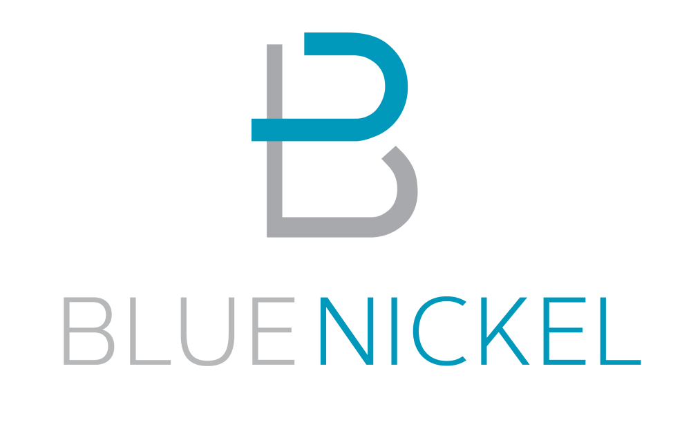BLUE NICKEL- BRAND - CAREER EXPERIENCE