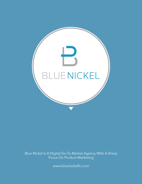 BLUE NICKEL- OVERVIEW BROCHURE - CAREER EXPERIENCE