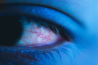 marcielacerte - Selections