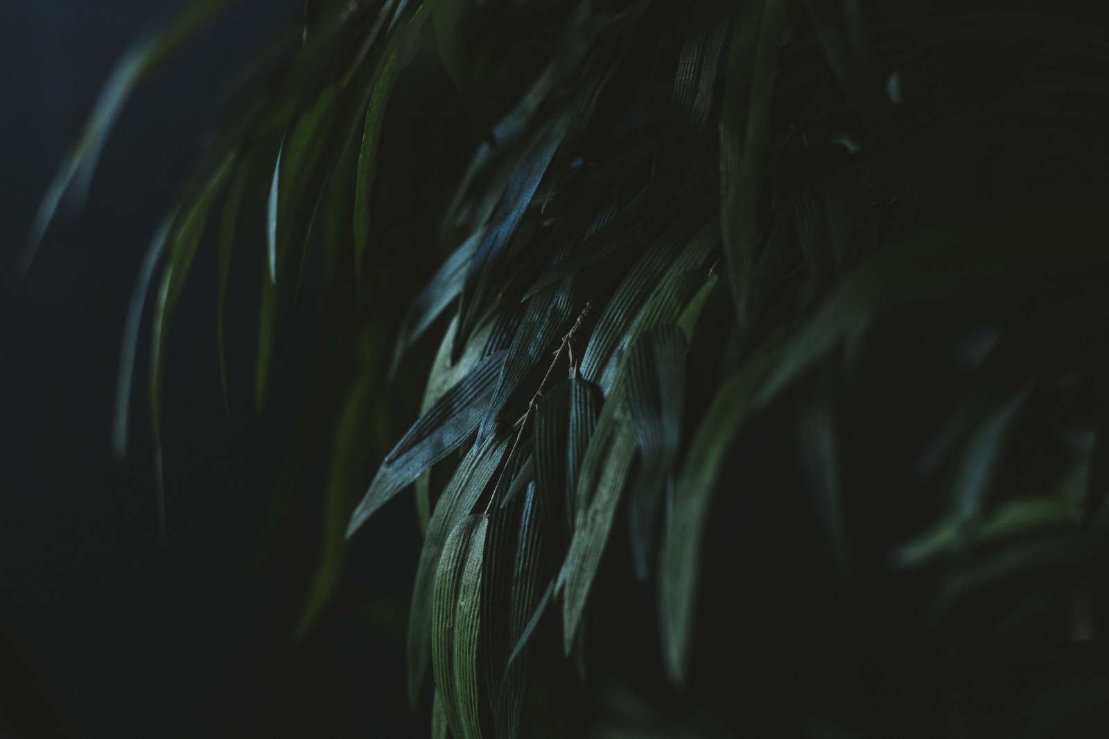 Teckro @ The Bank Building - Tullio.O Design