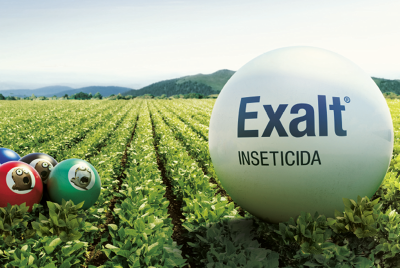 Exalt e Verdict - Fred Dias