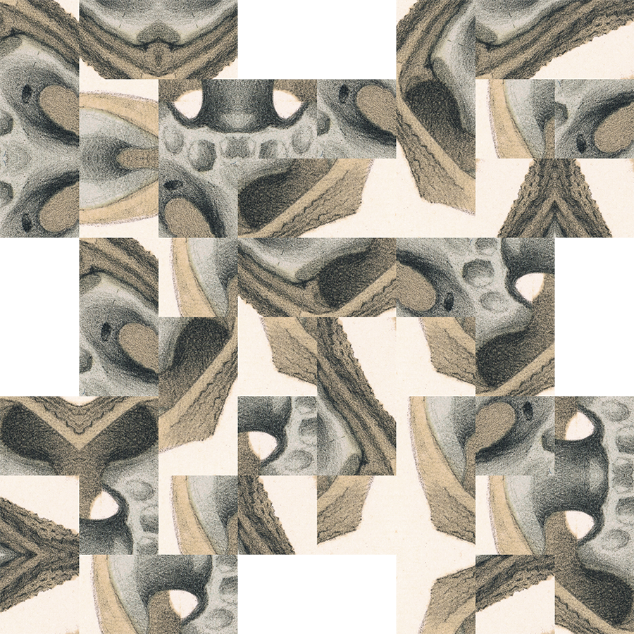 DOMINOS II - Alice Desmond