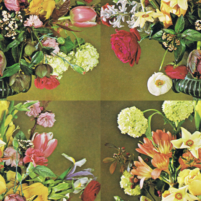 CUT FLOWERS - Alice Desmond