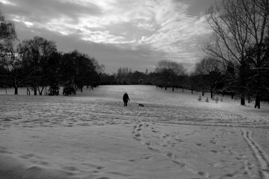 Photographs - Mark Simms