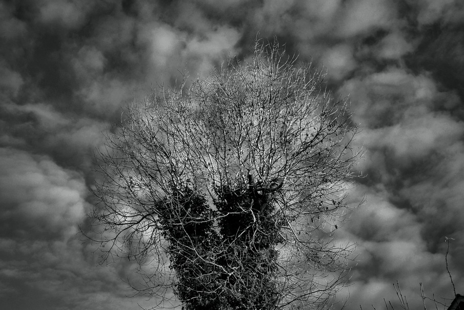 Photographs - Mark Simms