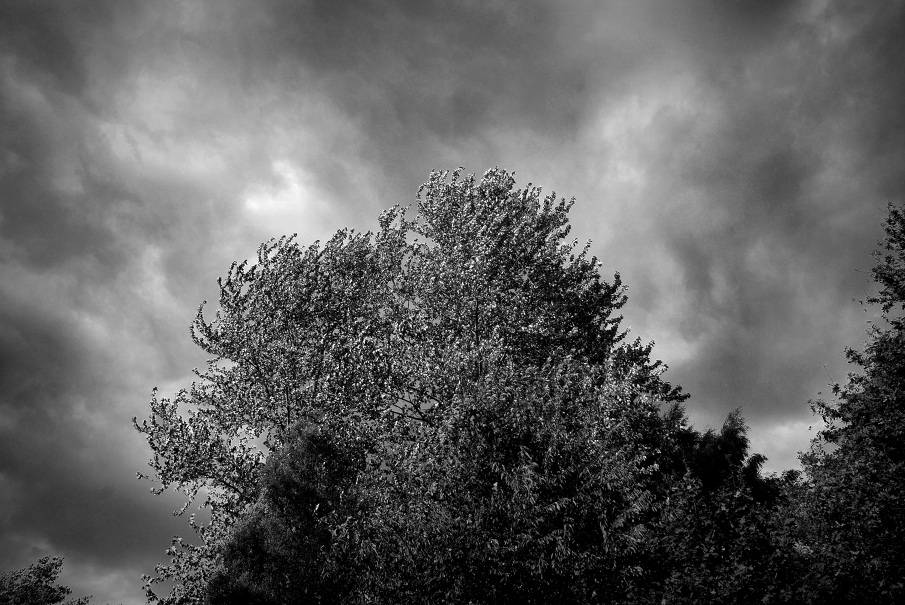 Photographs - Mark Simms