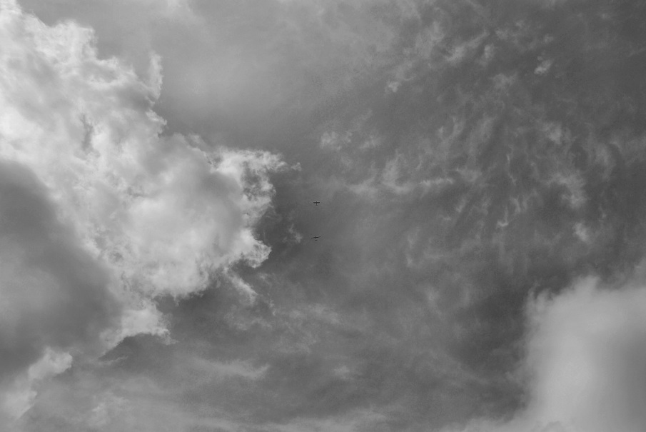 Photographs - Mark Simms