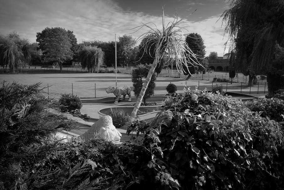 Photographs - Mark Simms