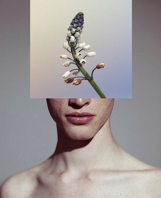 Selected Artwork 2013 - David Marinos