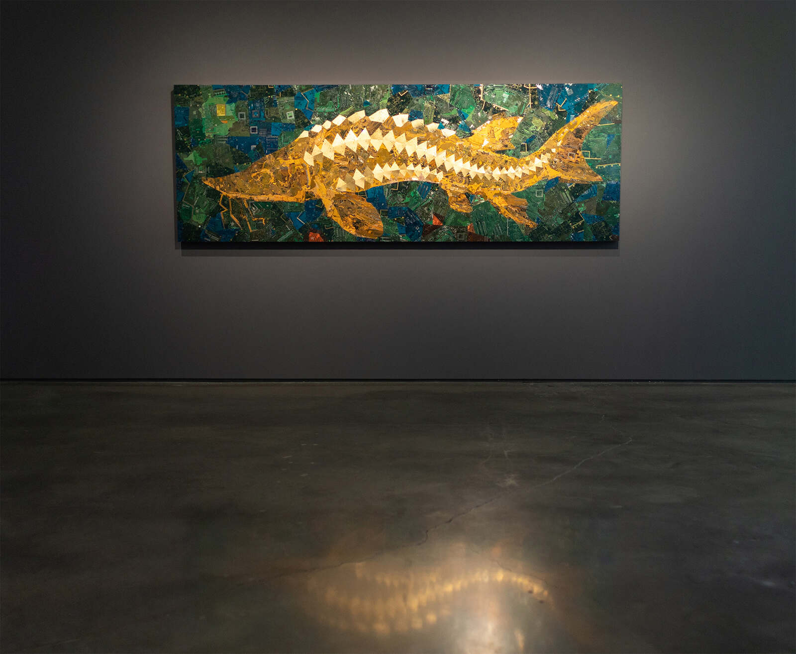 protofish - Wally Dion