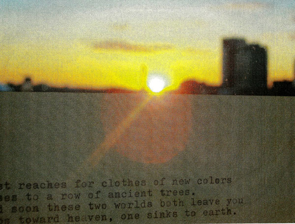 interstice - Miranda Bushey