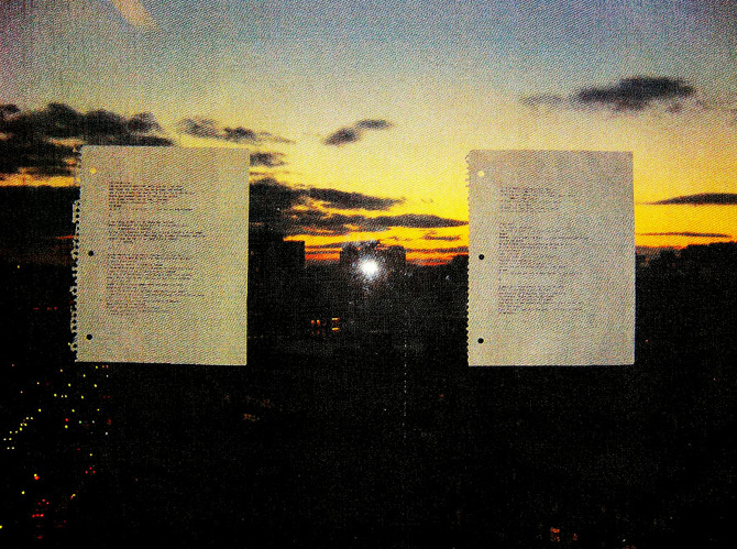 interstice - Miranda Bushey