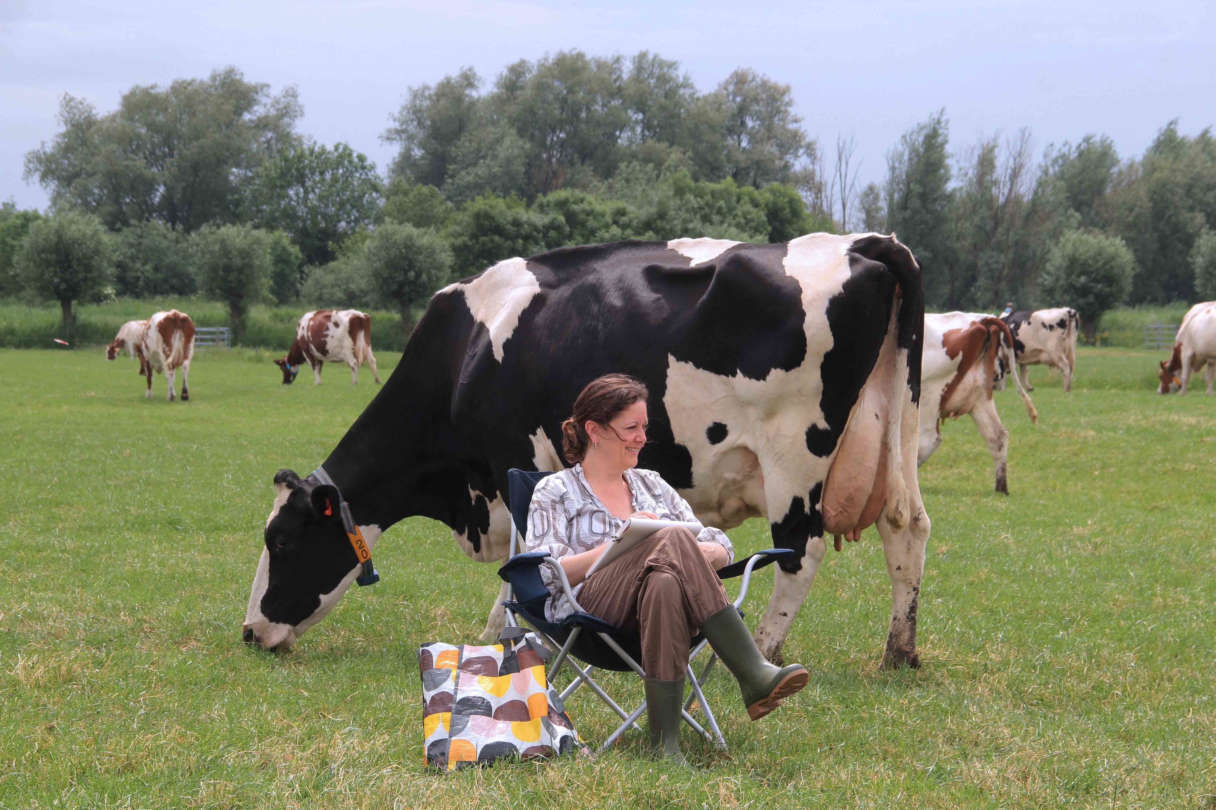 Annemieke Rodenburg Illustration