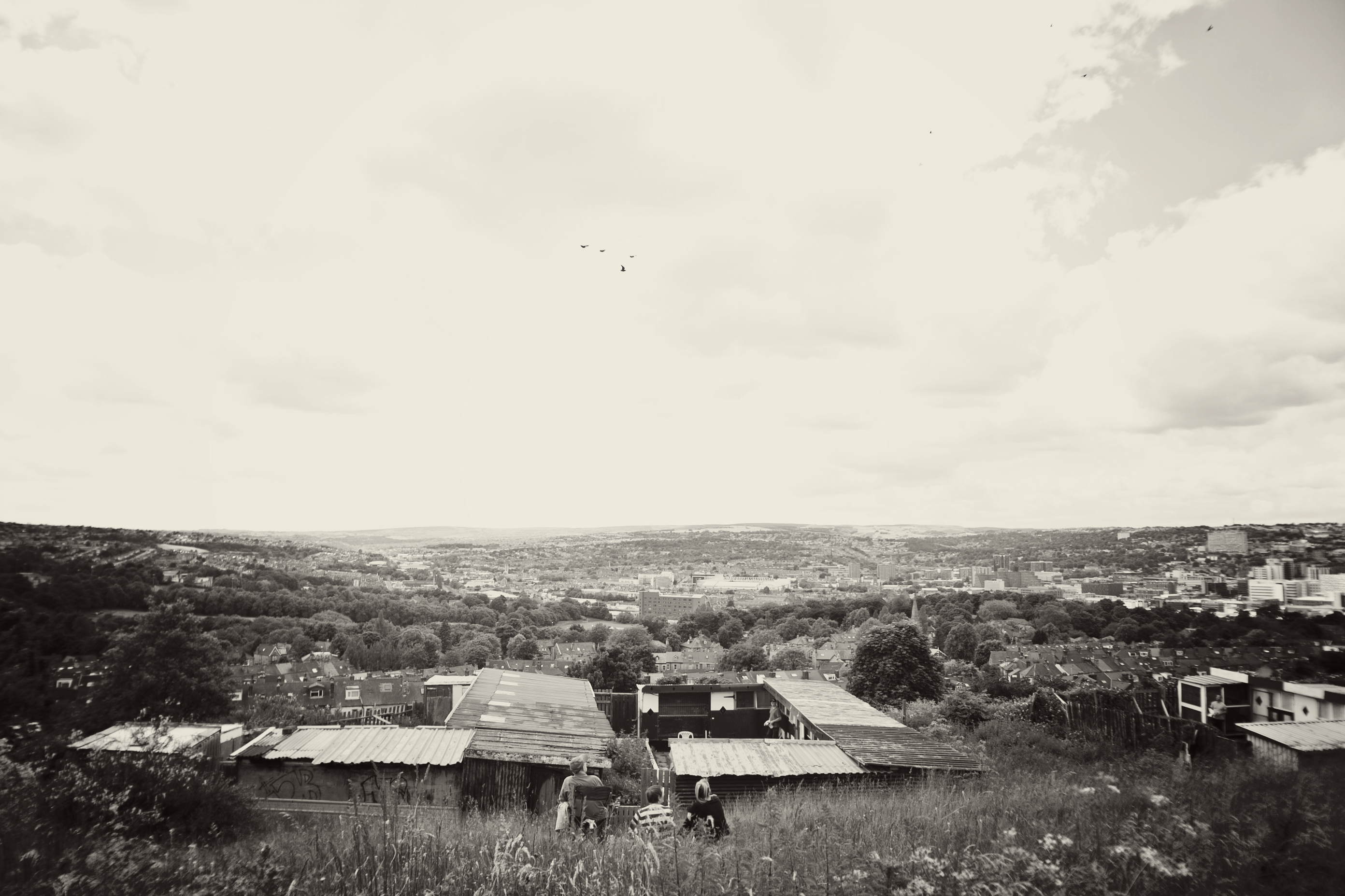 Freedom Studios: Sky Edge - Jess Petrie