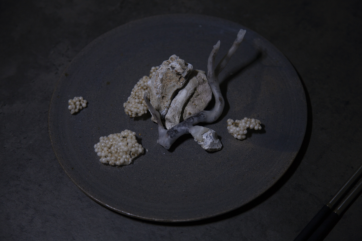 Brewing the Primordial Soup - Georg Jagunov