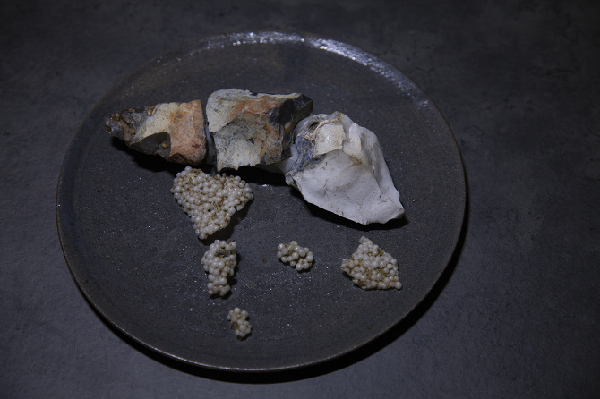 Brewing the Primordial Soup - Georg Jagunov