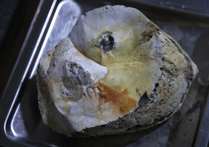 Brewing the Primordial Soup - Georg Jagunov