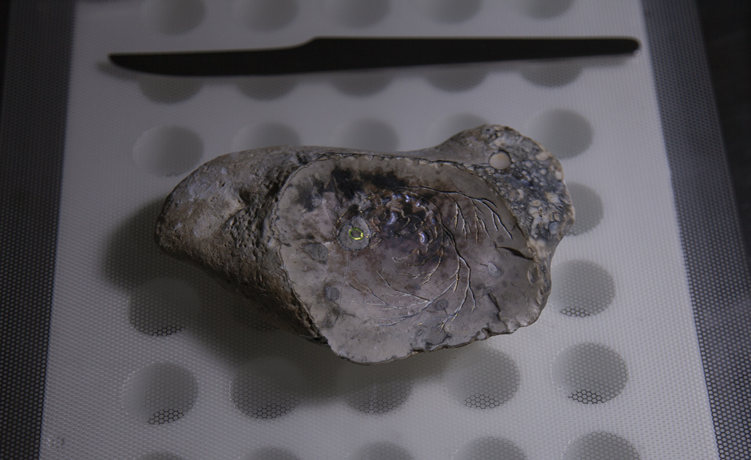 Brewing the Primordial Soup - Georg Jagunov