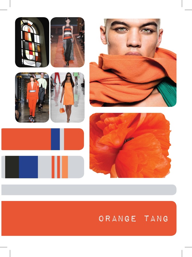 Nordstrom | Color Palette + Merch. Tools - Michele Slobin Apprille ...