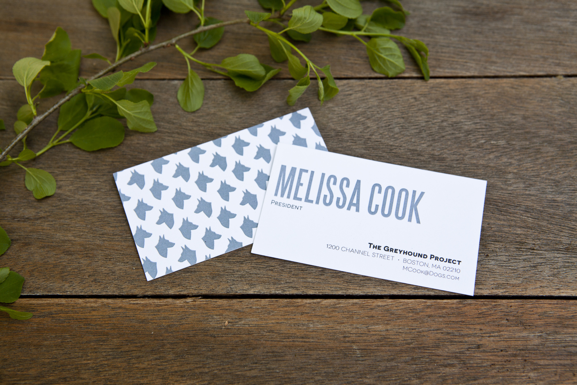 Springboard | Brand Identity Kits - Michele Slobin Apprille, Creative ...