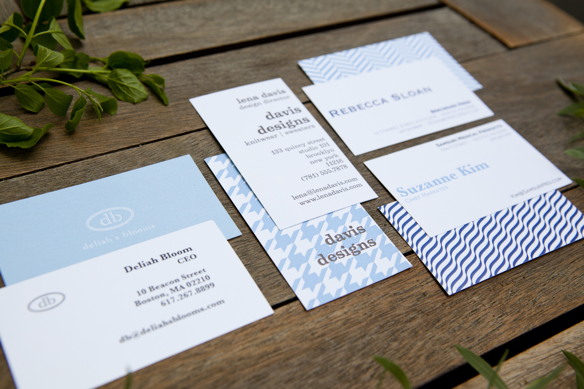 Springboard | Brand Identity Kits - Michele Slobin Apprille, Creative ...