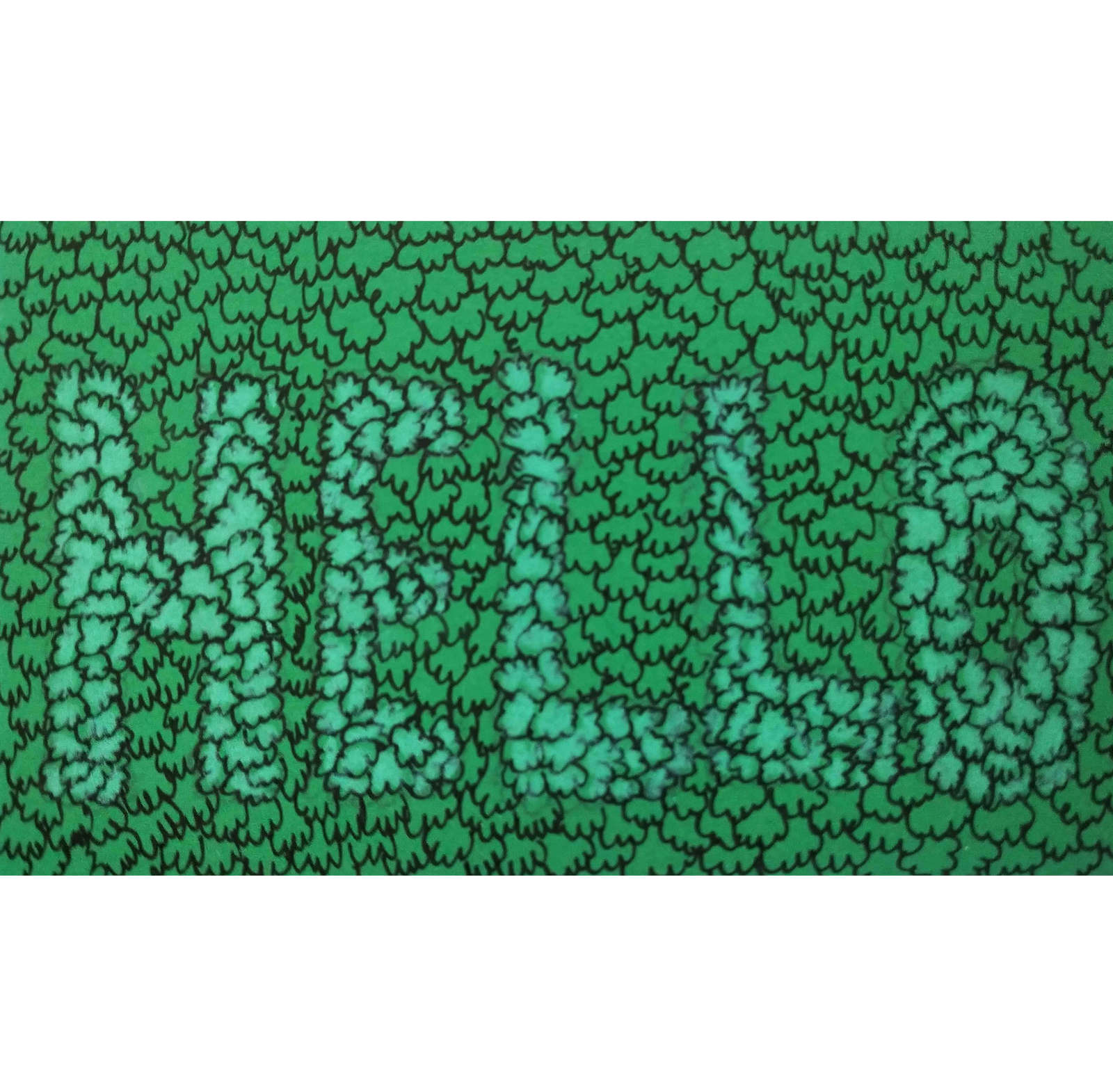 Handling My Subconscious - Shelly Huber